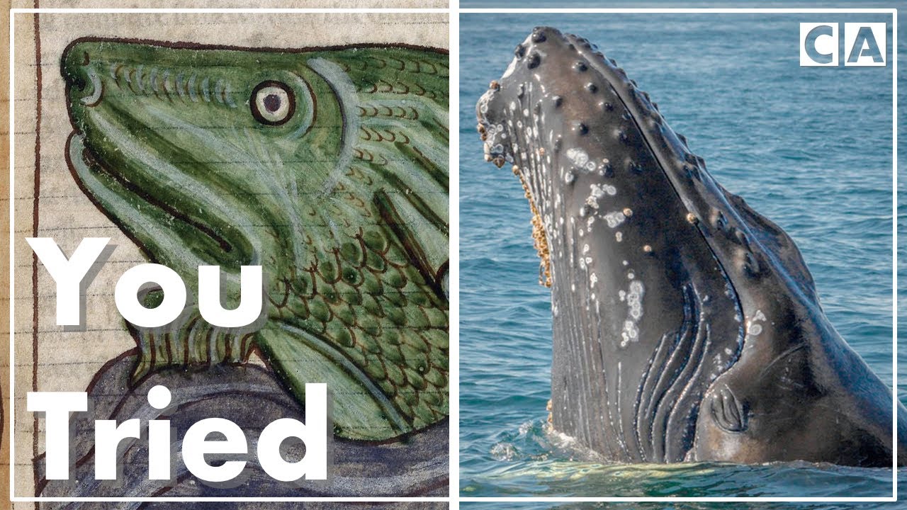 Hilariously inaccurate Medieval animal art.