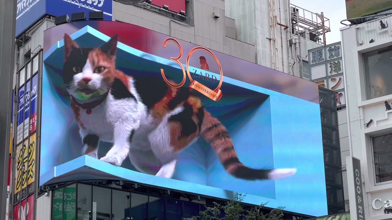 Giant hologram cat teeters on building.
