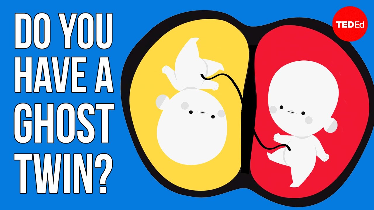 You could have a secret twin, but not the way you're thinking.