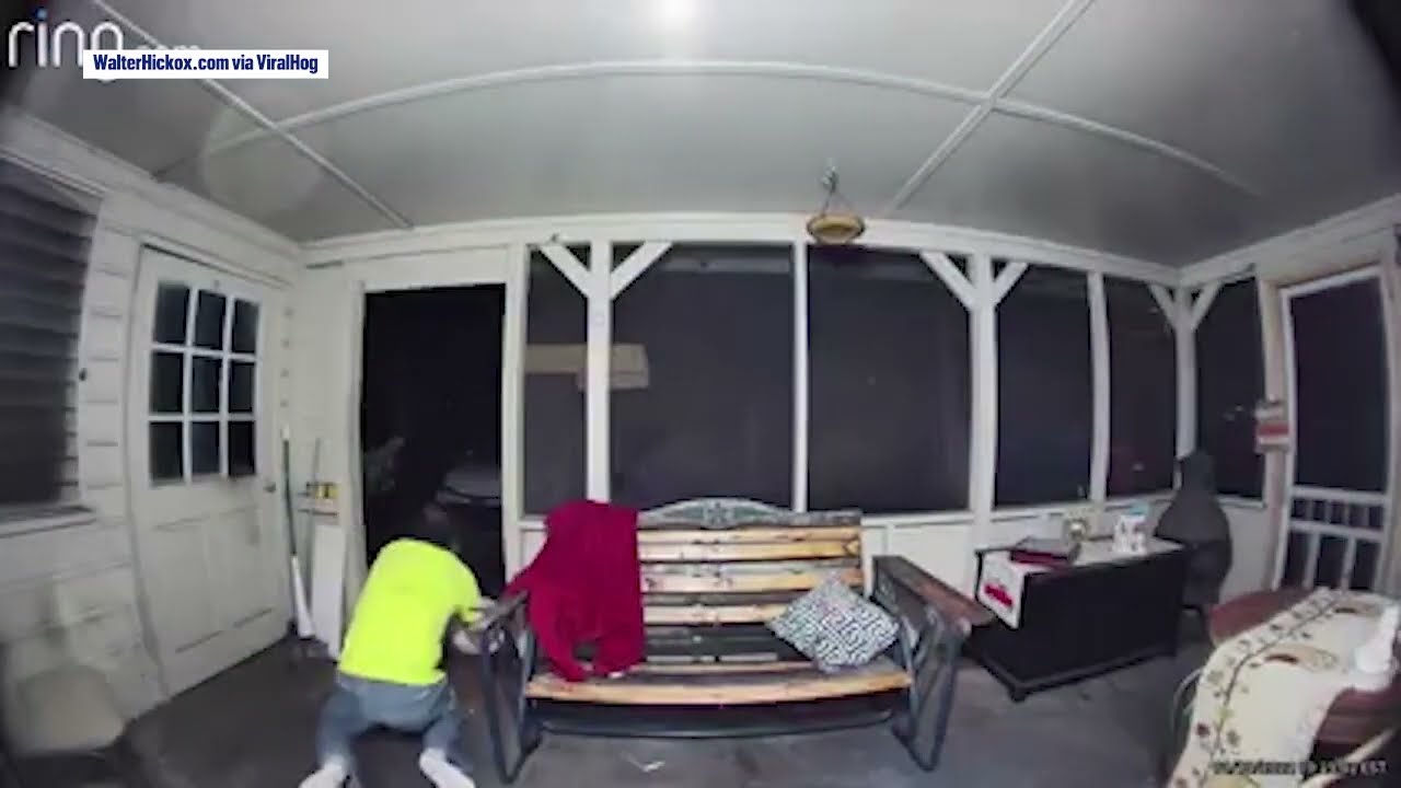 Man ferociously fending off bear to protect dogs.