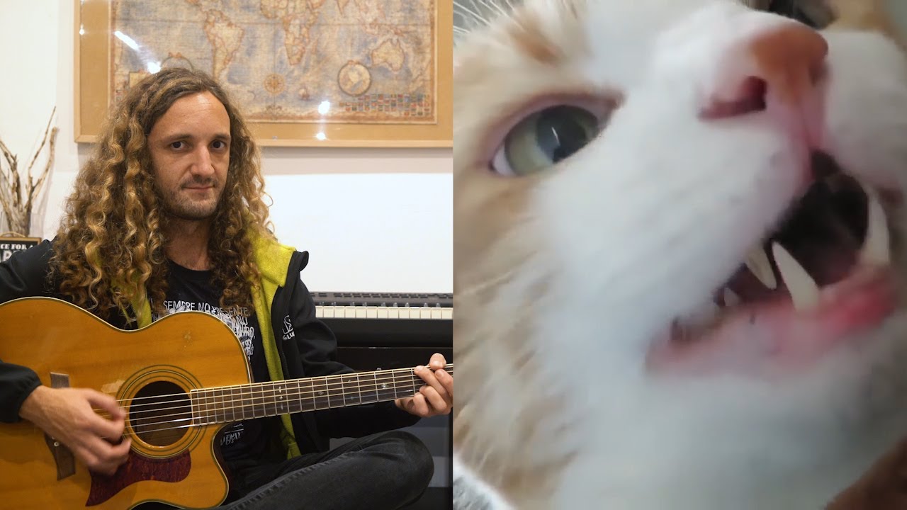 Animal version of 'The Good, The Bad & The Ugly.'