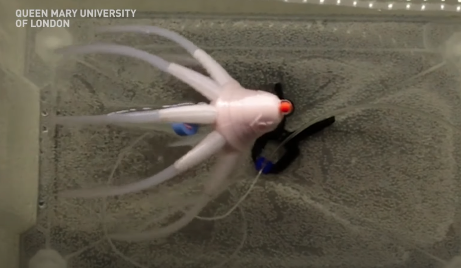 Robot octopus moves its tentacles like the real thing