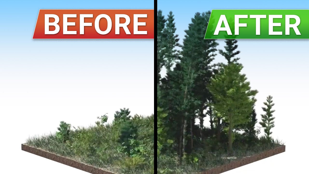 Simulating a virtual world for 1,000 Years