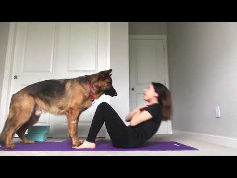 German Shepherd makes best workout buddy.