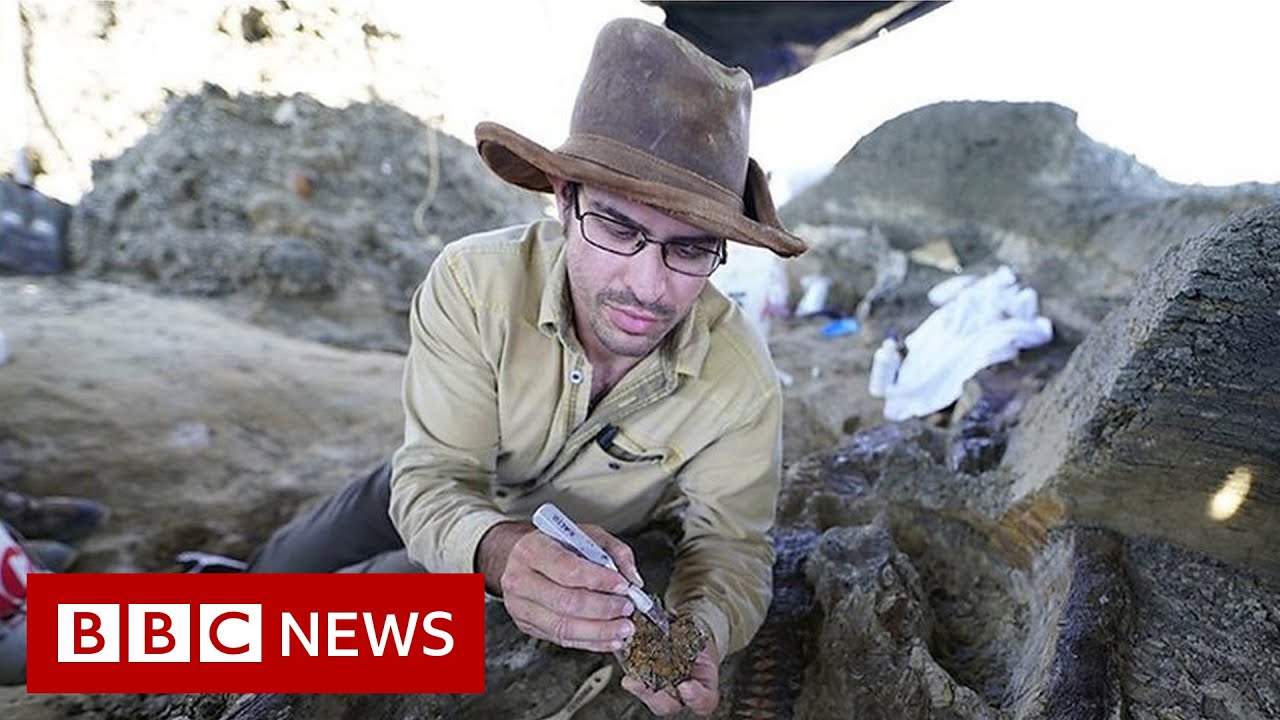 Scientists claim dinosaur fossil is from asteroid that caused extinction.