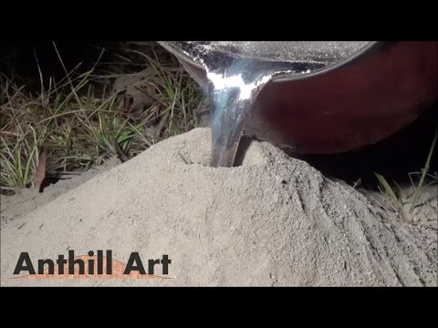 Fire ant colony vs. molten aluminum.