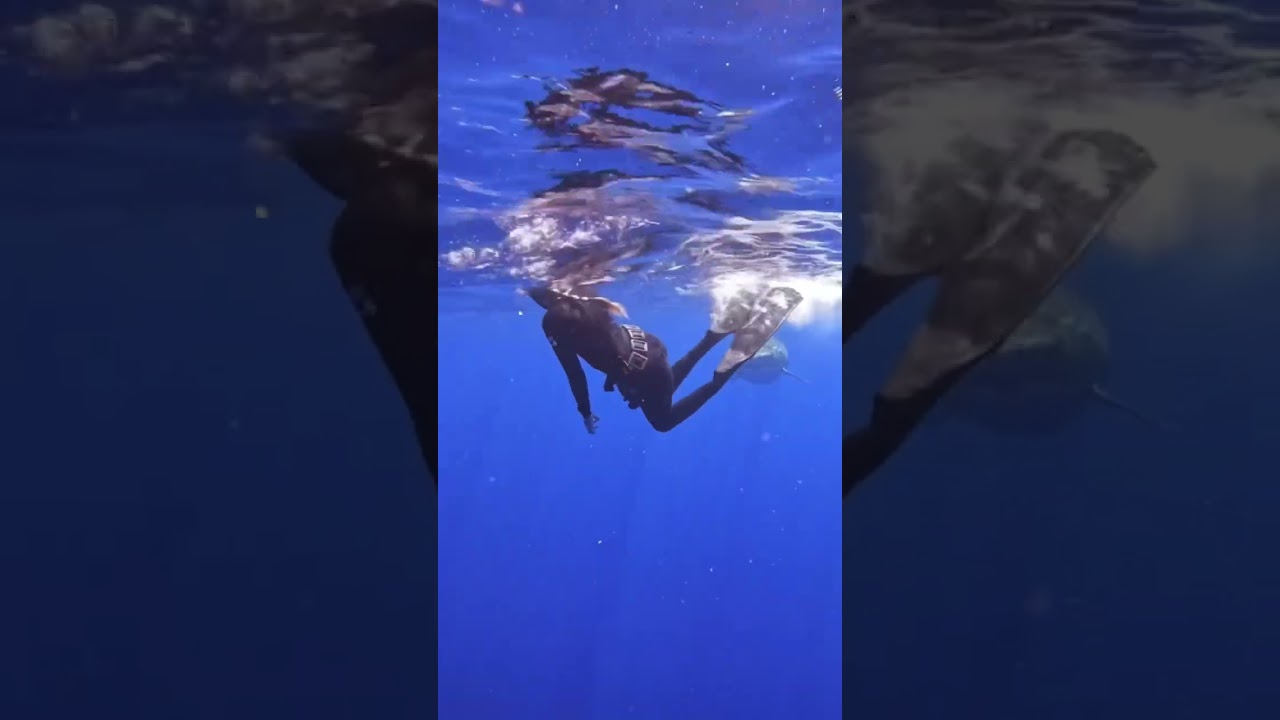 Diver uses some sort of magic to tame shark.