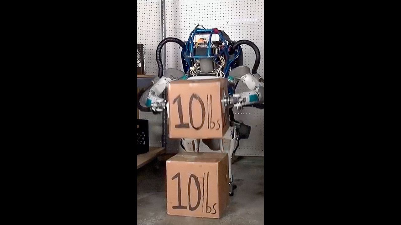 Boston Dynamics turns 30 years old.
