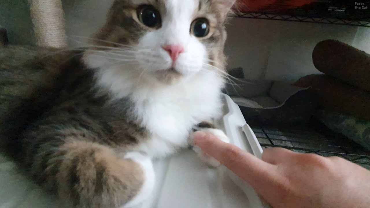 "I'm considering biting you."