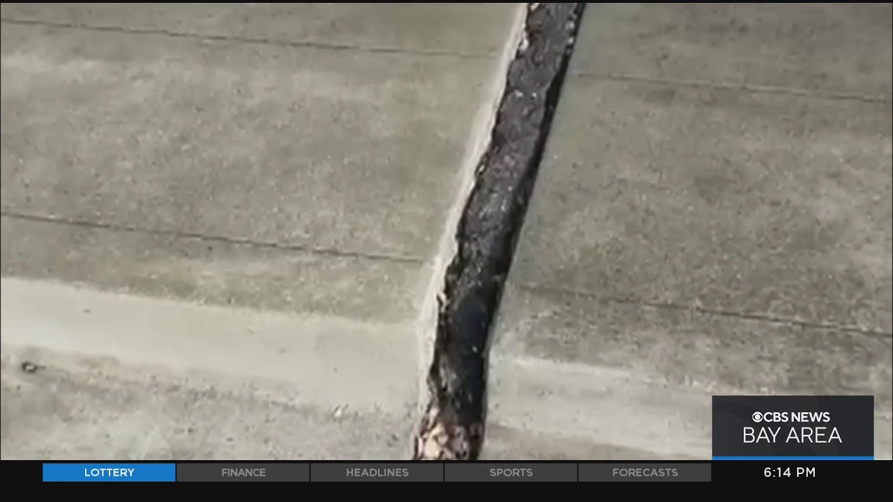 Shifting fault line runs through neighborhood.