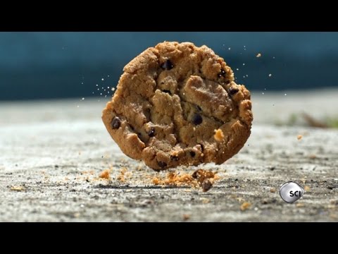 What science says about 5-second rule.