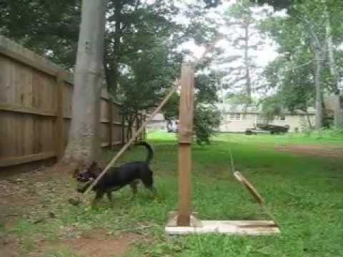 Dog-operated catapult.
