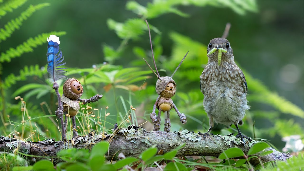Delightful forest folk made of acorns.