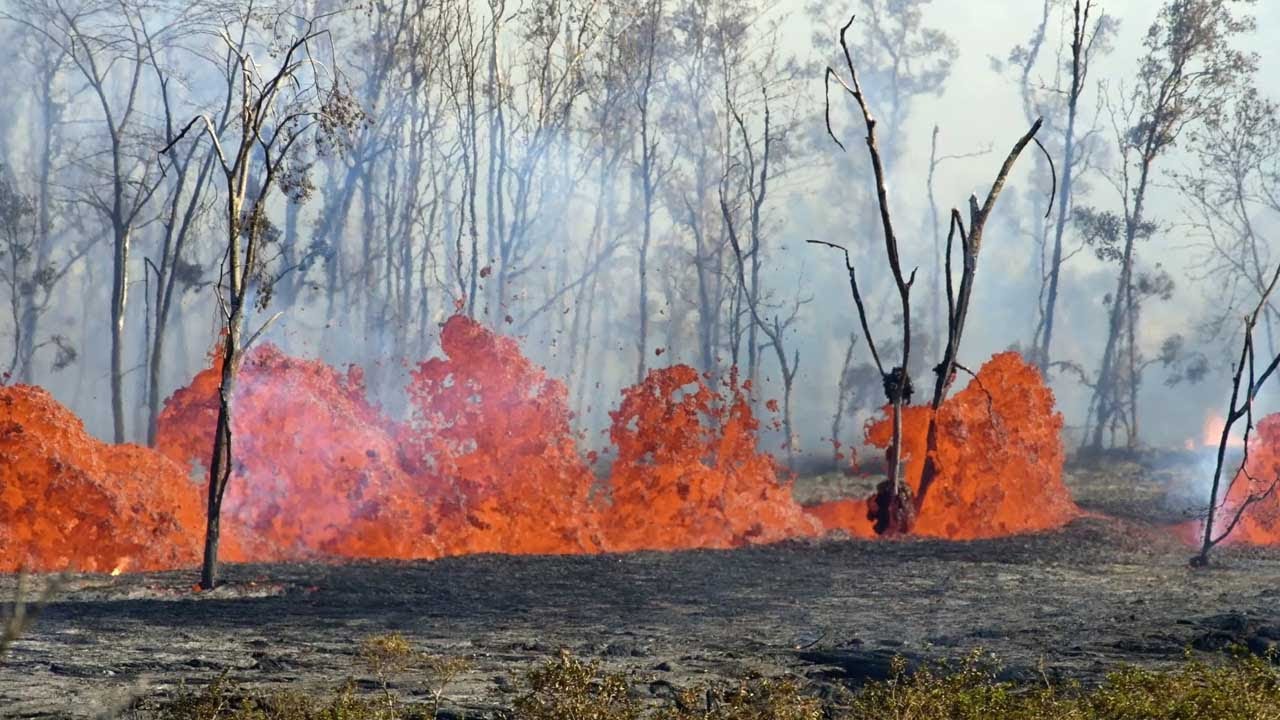 Lava flows through Hawaiian forest.
