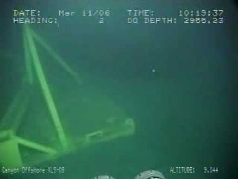 Whale at 3,000 feet under water.