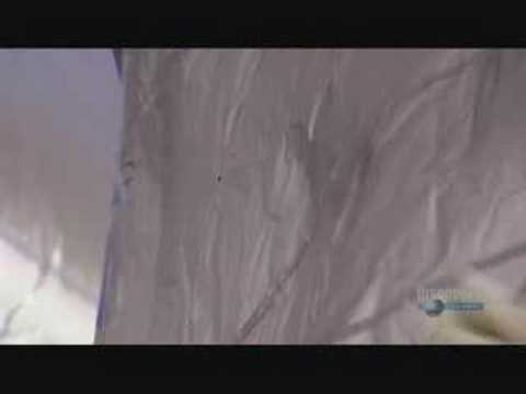 Mythbusters take on 7-fold limit.