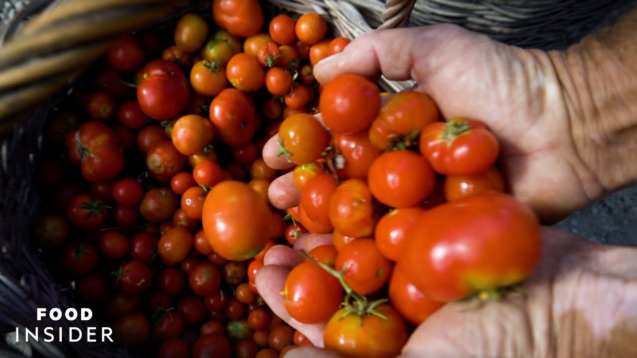 Tenacious man saving Santorini's heritage tomatoes.