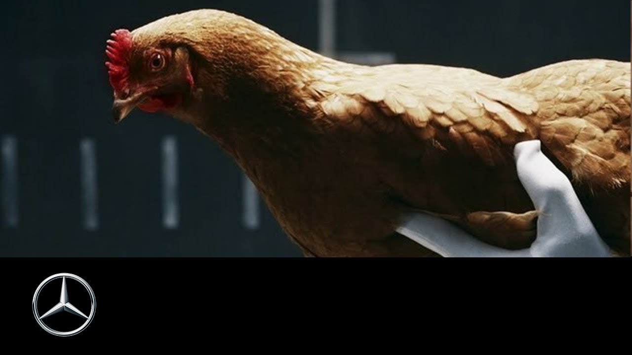 Remember the chicken Mercedez-Benz ad?