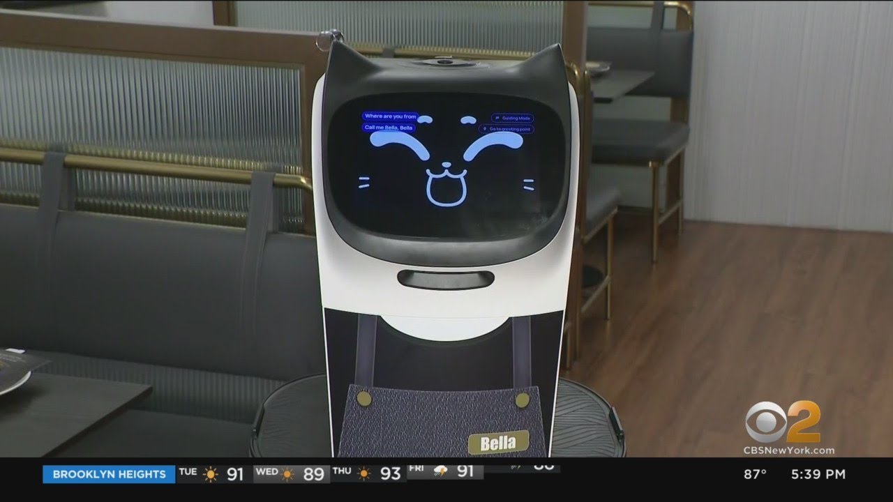 Bellabot the cat serving food at restaurants.