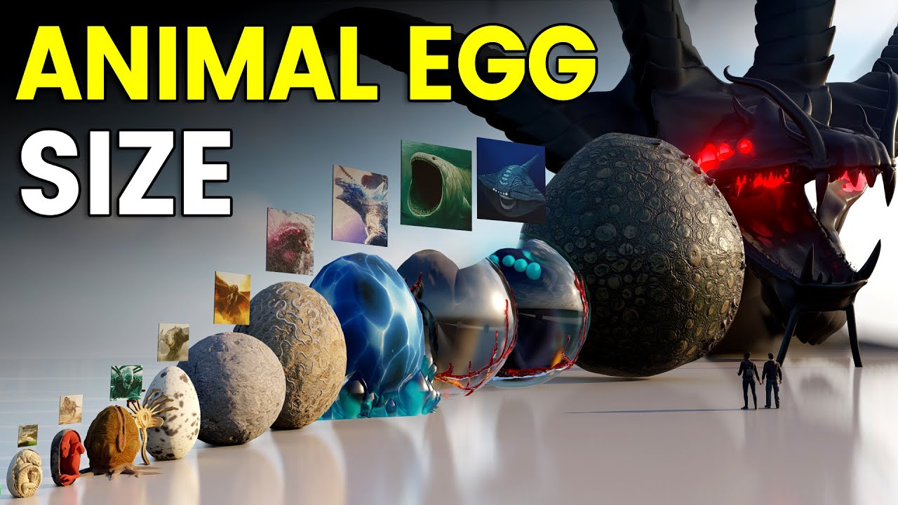 Animal egg size comparison.
