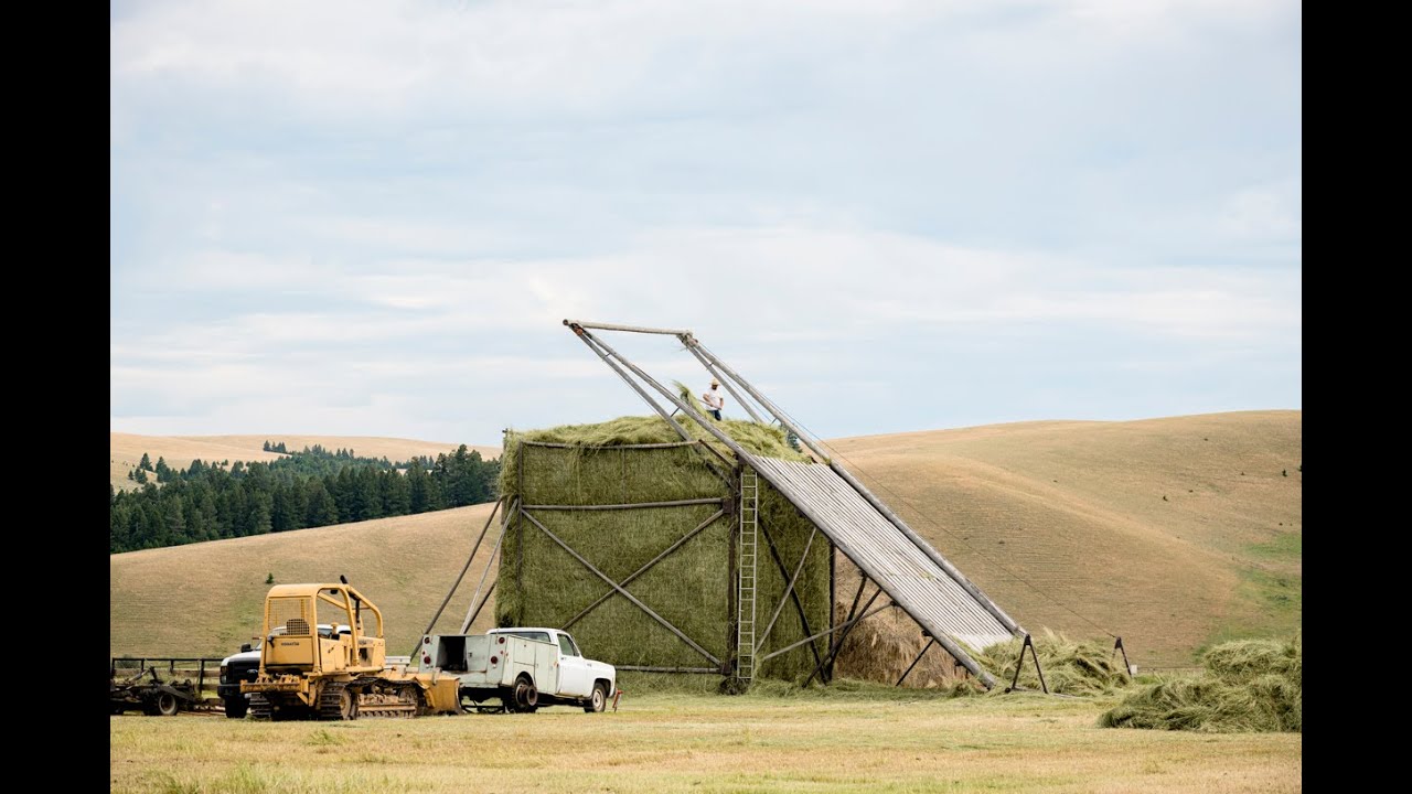 The beaverslide hay-stacker in action.