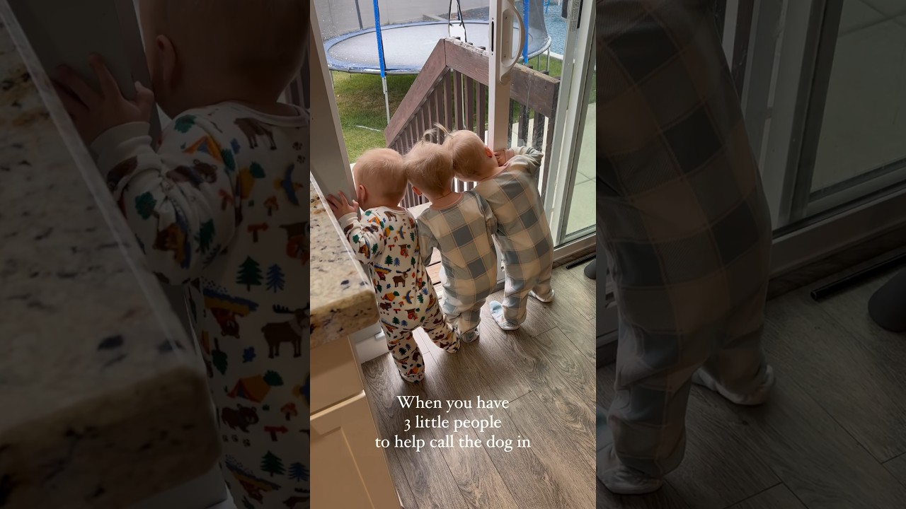 When you have 3 littles to help with the dog.