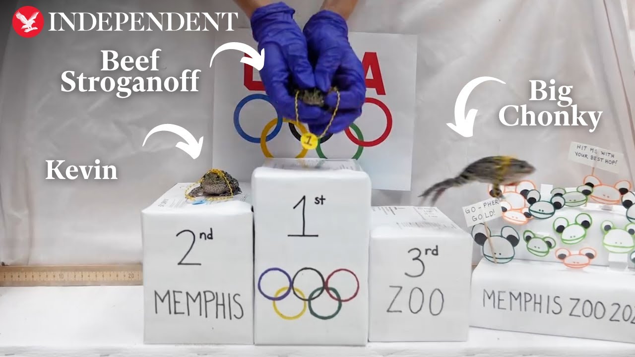 Memphis Zoo celebrates 2024 Frog Olympics.