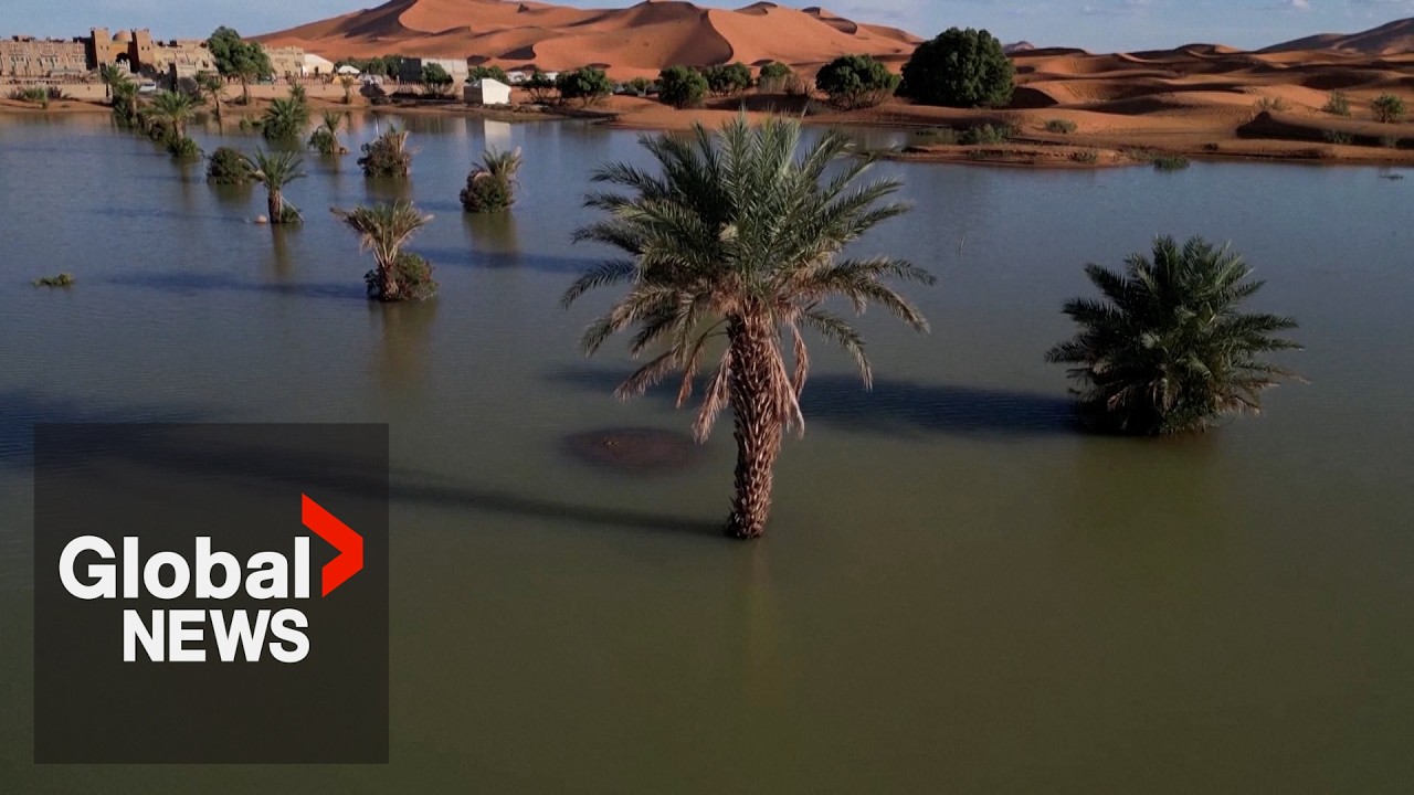 Drone shows dramatic flooding in the desert.