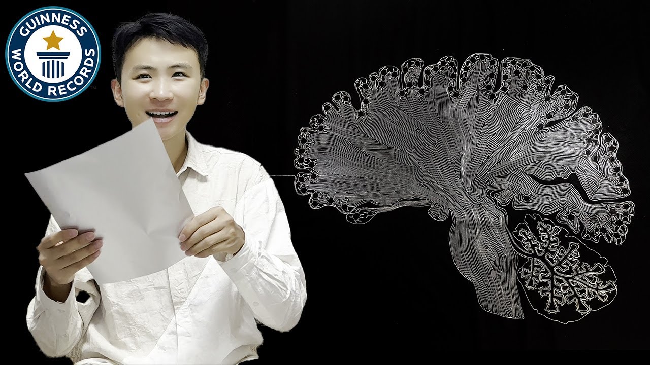 World's longest strip cut from letter-sized paper.