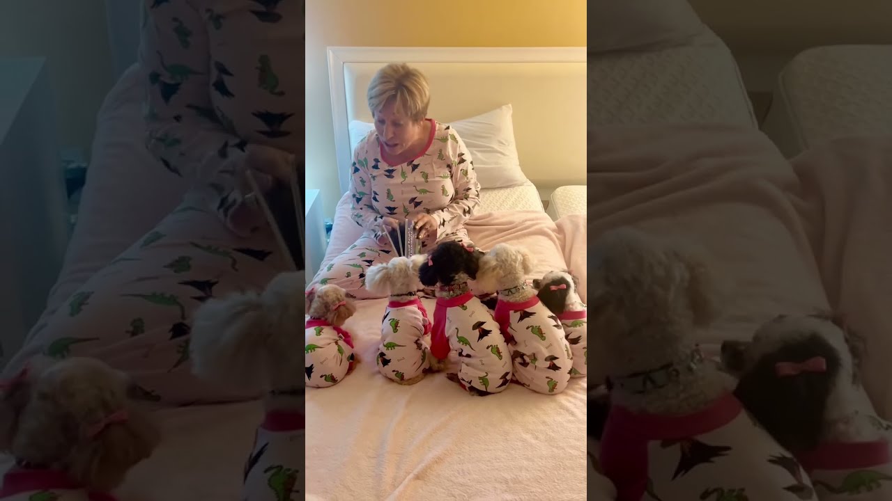 Dog mom reads bedtime story to pups in matching PJs.