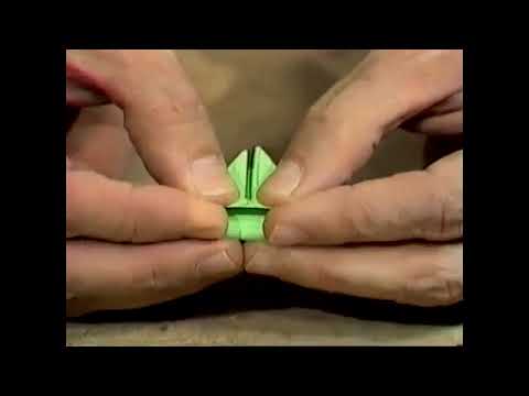 Make a cardboard frog that jumps.